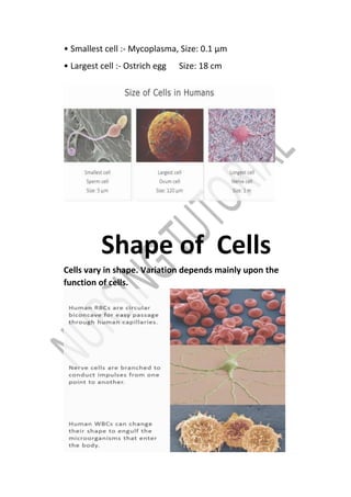 CELL NOTES BY NURSING TUTORIAL.docx