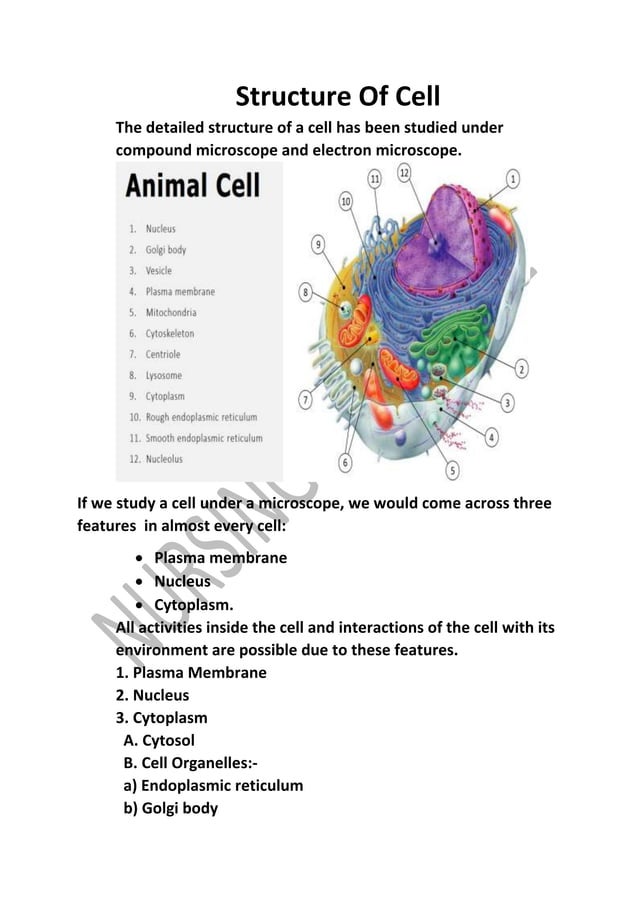 CELL NOTES BY NURSING TUTORIAL.docx | Biological Sciences | Science