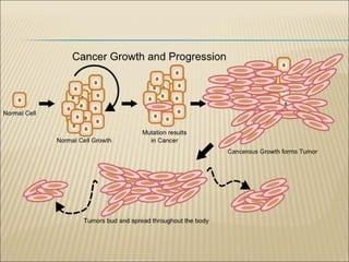 Grade 11 - Cell and Nuclear Division | PPT