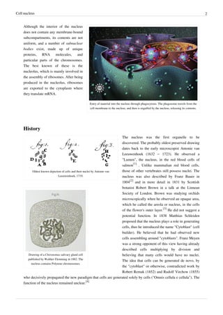 Cell nucleus | PDF