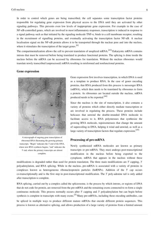 Cell nucleus | PDF