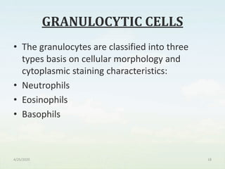 Cell of the immune system by narayan singh rajpoot | PPT