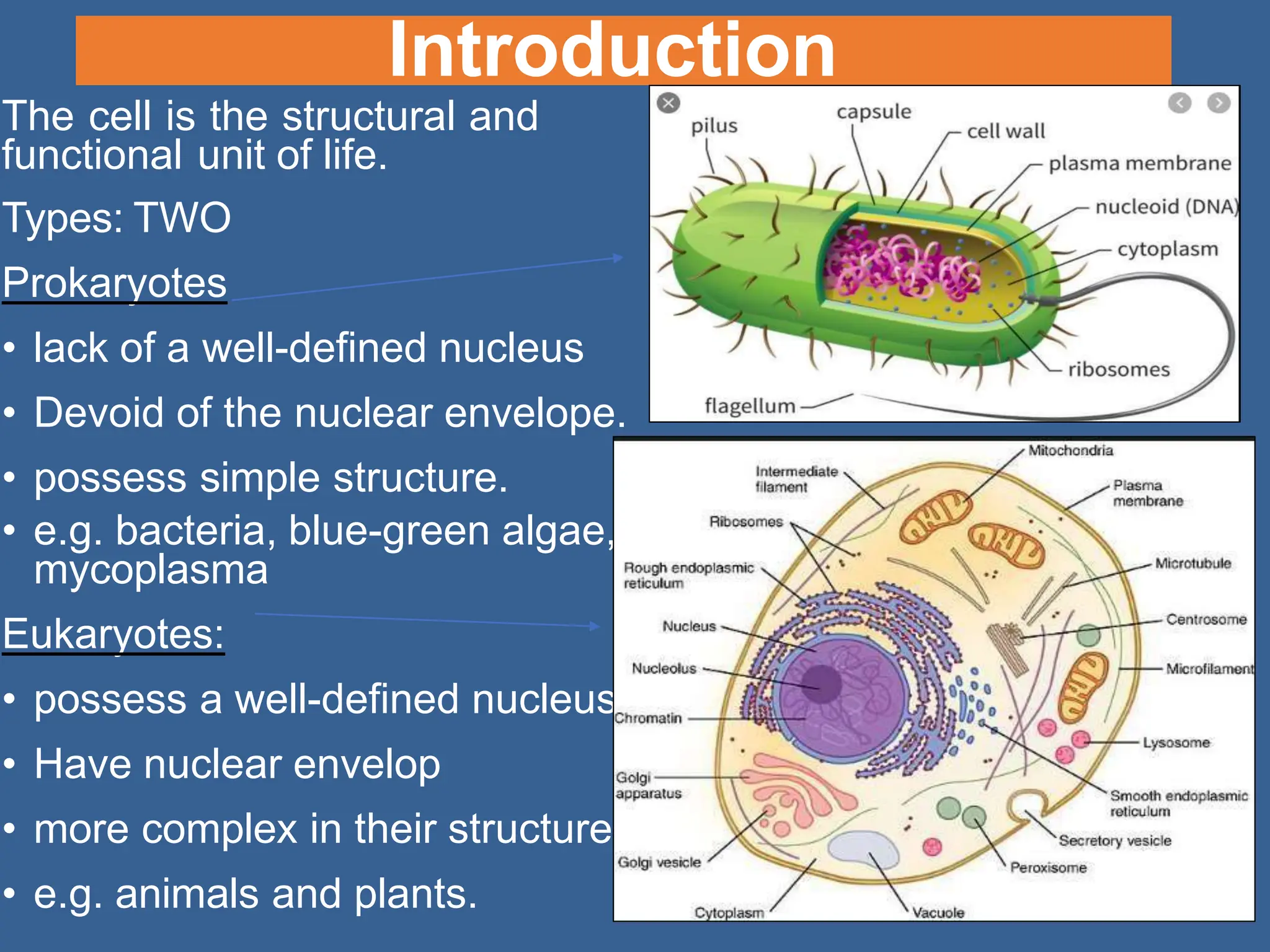 CELL AND ORGANELLES BY NAMAMI KAUSHIK SGT | PPT