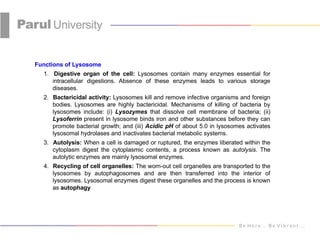 cell organelle and Its composition function | PPT
