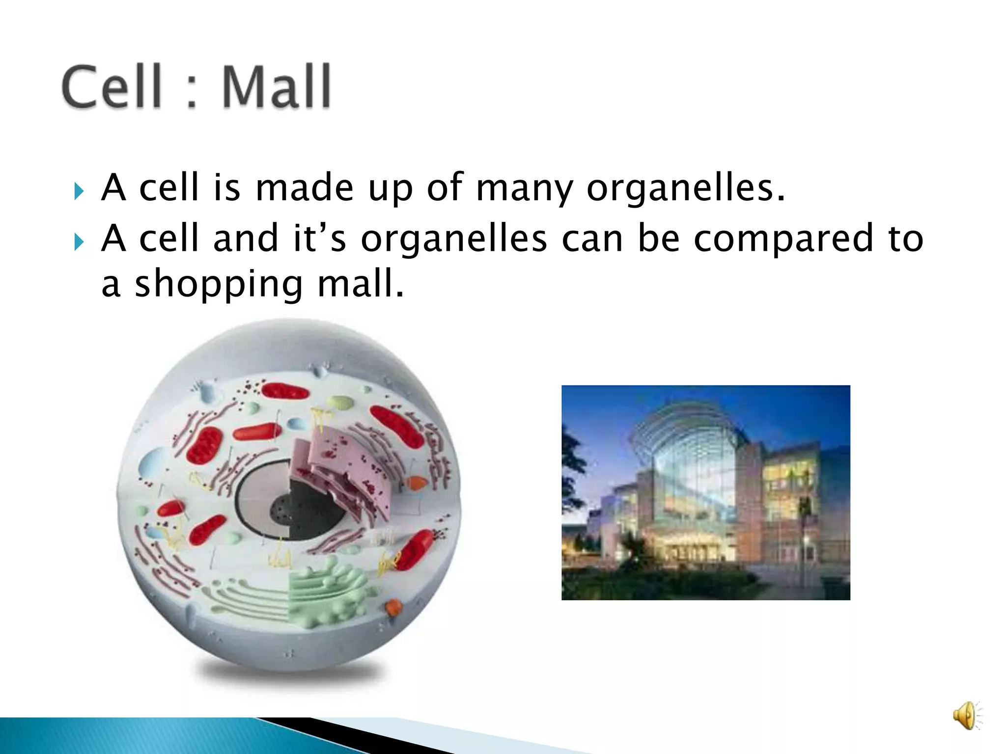 Cell Organelle Analogies | PPTX