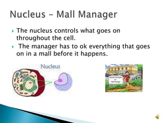 Cell Organelle Analogies | PPTX