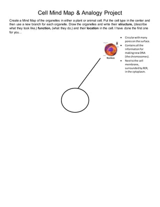 Cell organelleanalogymindmapandposter | DOCX | Biological Sciences ...
