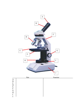 Biology - Cell organelle crossword puzzle & microscope review | DOC