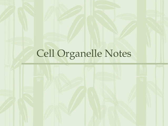 Cell Organelle Notes | PPT