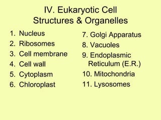 Cell_Organelle_Notes.ppt
