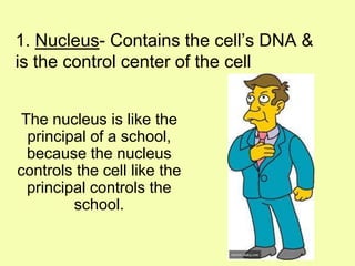 Cell_Organelle_Notes.ppt