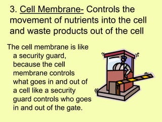 Cell_Organelle_Notes.ppt