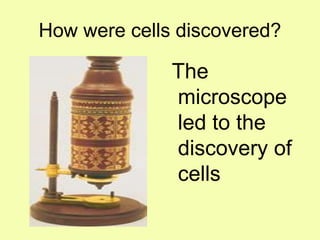 Cell_Organelle_Notes.ppt