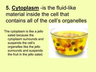 Cell_Organelle_Notes.ppt