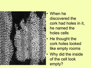 Cell_Organelle_Notes.ppt