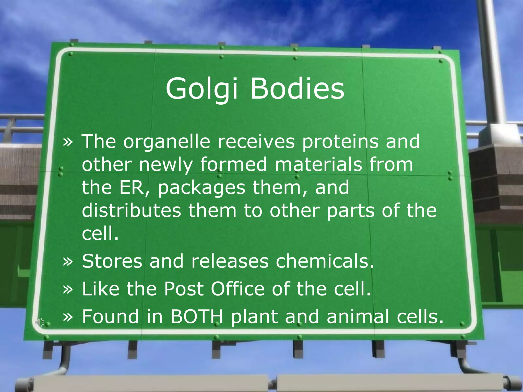Cell organelle power point | PPT