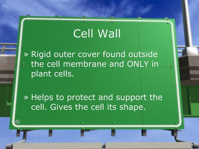 Cell organelle power point | PPT