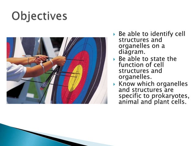 Cell organelle presentation | PPTX | Biological Sciences | Science