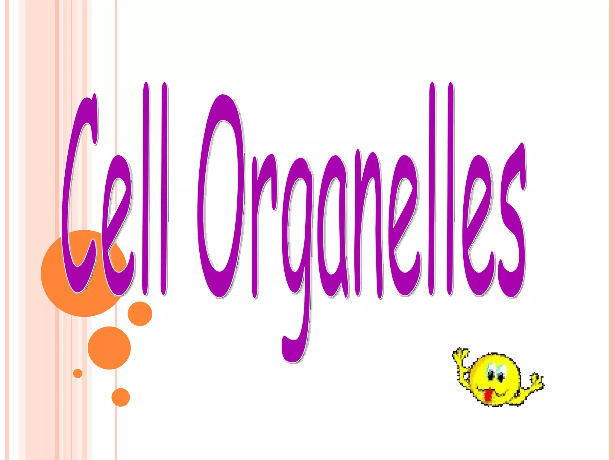 Cell organelle review | PPT