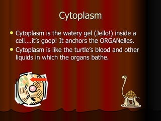 Cell Organelles | PPT