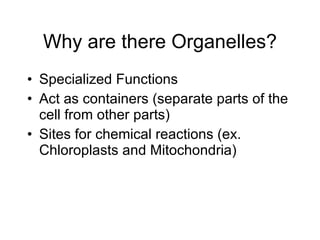 Cell Organelles Power Point | PPT