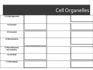 Cell organelles | PPTX