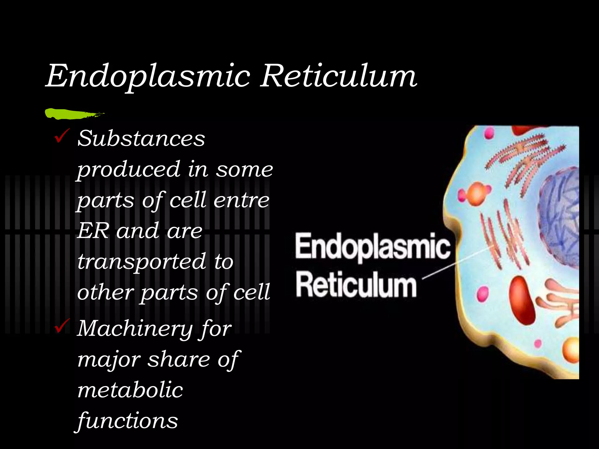 Cell organelles | PPTX