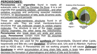 Cell organelles | PPTX