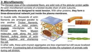 Cell organelles | PPTX