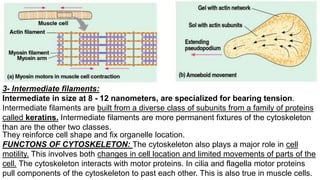Cell organelles | PPTX