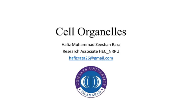 Cell organelles | PPT
