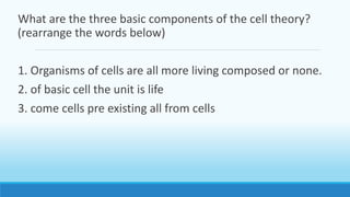 Cell organelles | PPT