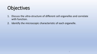 cell Organelles.pdf