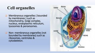 cell Organelles.pdf