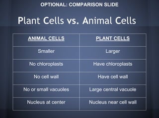 Cell Organelles.pptx