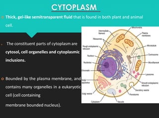 CELL ORGANELLES .pdf Molecular biology students | PDF