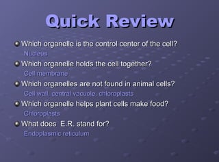 CELL ORGANELLES POWERPOINT PRESENTATION OKOKOK | PPT