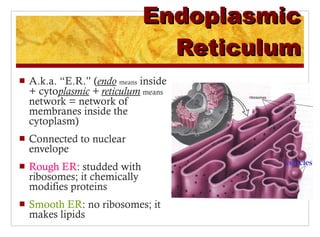 Cell organelles | PPT