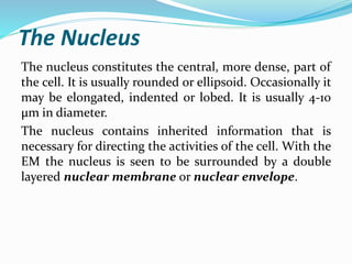 Cell organelles- histology | PPTX