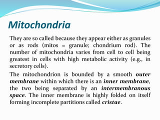 Cell organelles- histology | PPTX