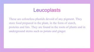 Cell organelles plastid | PPTX
