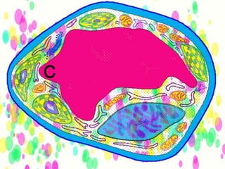 Cell organelles.ppt