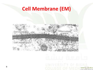 CELL_ORGANELLES (1).pptx