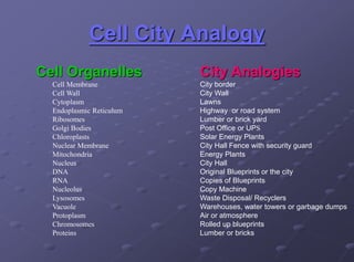 cell_organelles_11.ppt