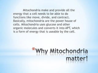 Mitochondria | PPT