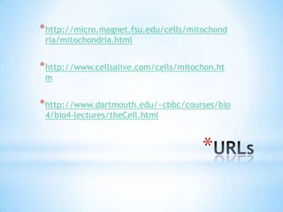 Mitochondria | PPT