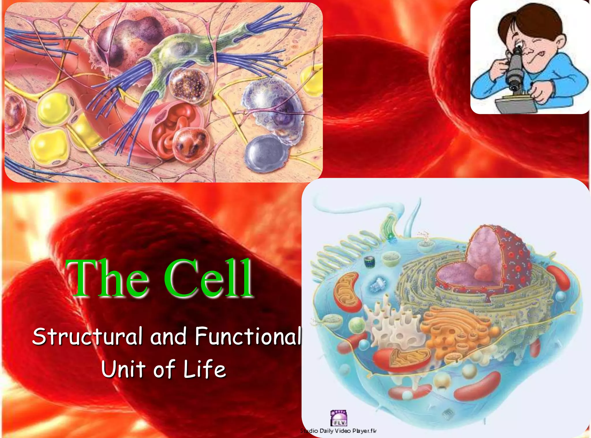 Cell and cell organelles | PPTX
