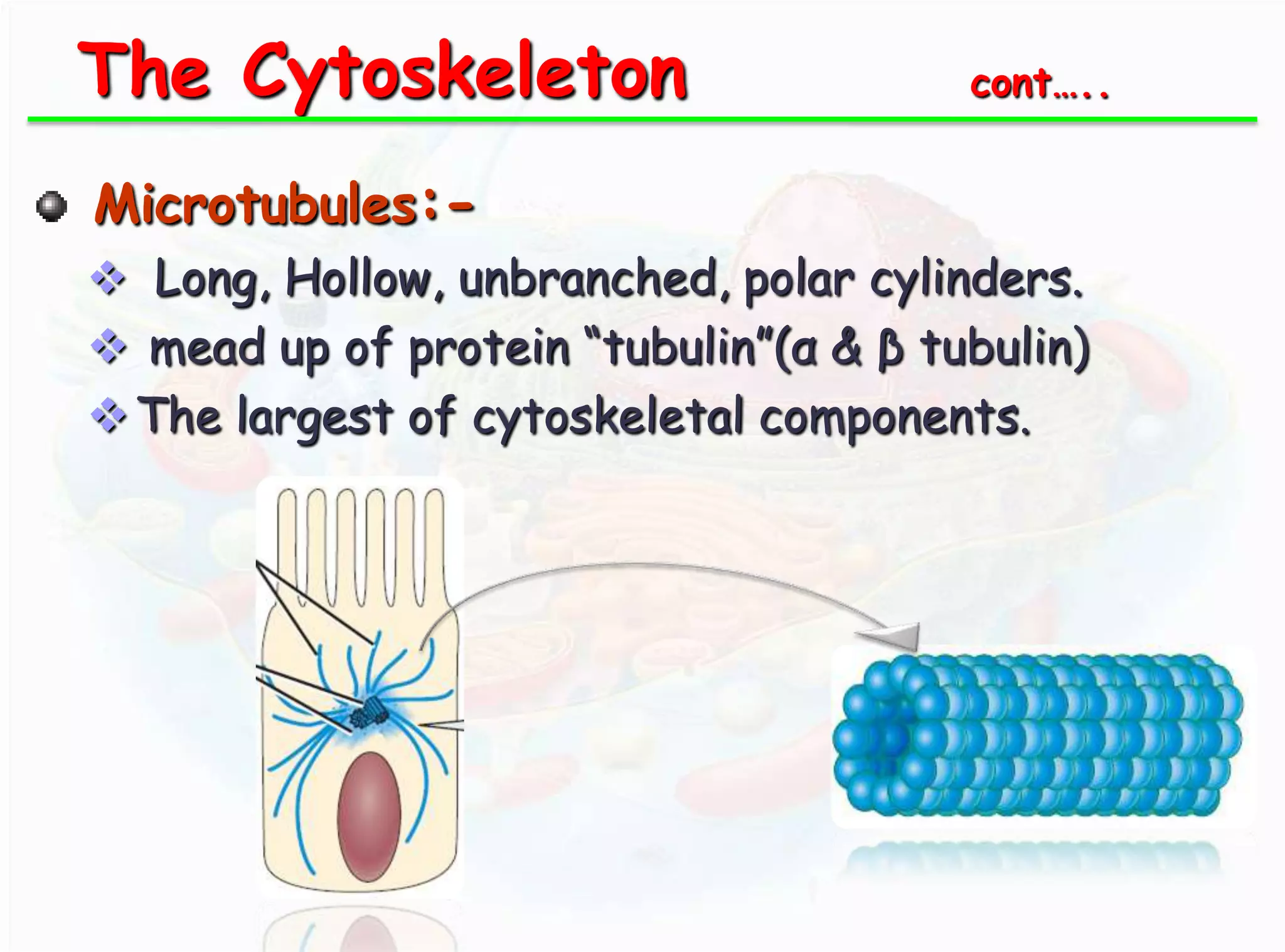 Cell and cell organelles | PPTX