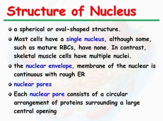 Cell and cell organelles | PPTX
