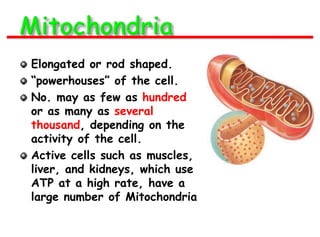 Cell and cell organelles | PPTX